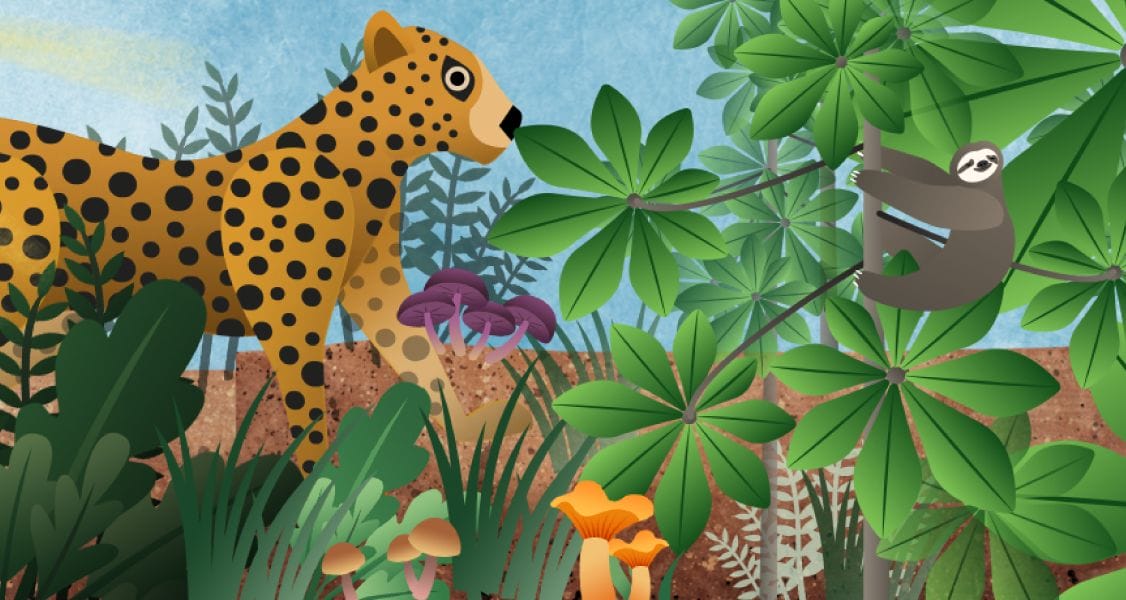 Portland K–5 Science Review | Amplify