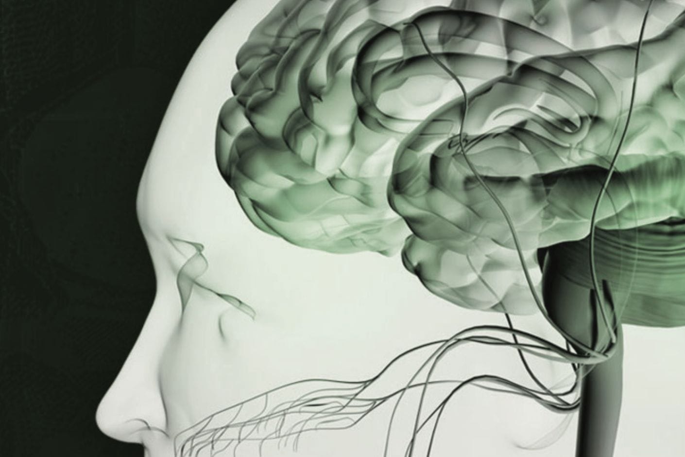 Literacy Curriculum for Grades 6–8 - Core ELA Curriculum | Amplify