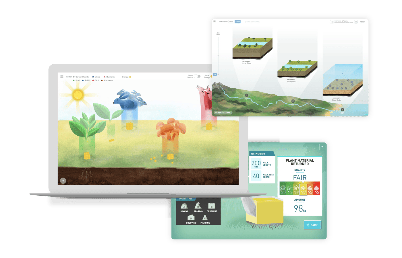 K-8 Science | Elementary & Middle School Curriculum | Amplify